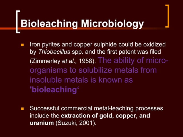 Biomining /bioleaching | PDF | Geology | Science