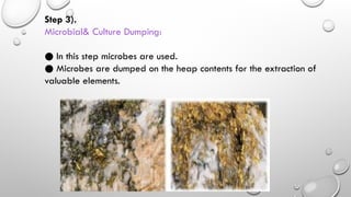 BIOMINING OF METALS in ENVIRONMENTAL MICROBIOLOGY | PPTX