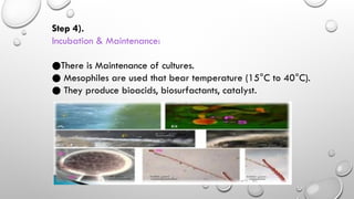 BIOMINING OF METALS in ENVIRONMENTAL MICROBIOLOGY | PPTX