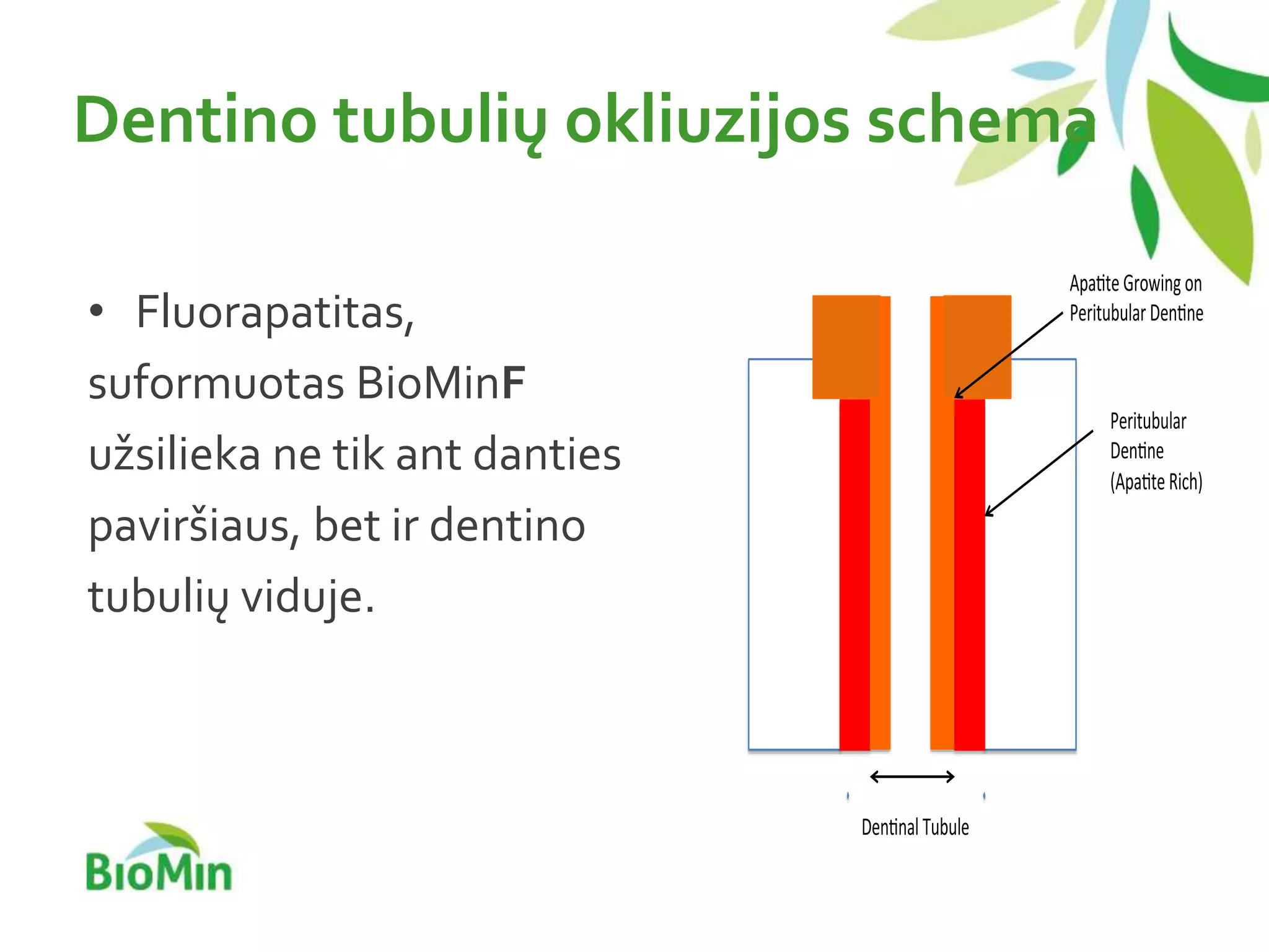 Biomin dantų pasta | PPTX
