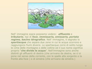 Biomi seconda parte | PPSX