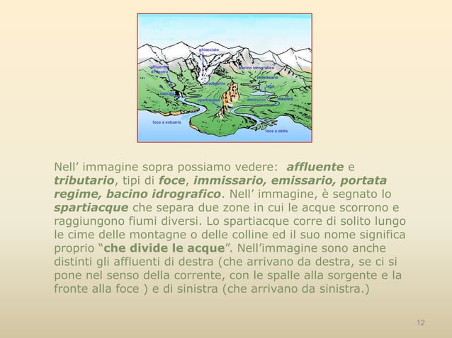 Biomi seconda parte | PPSX