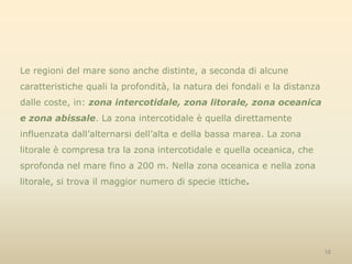 Biomi seconda parte | PPSX