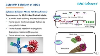 Biomissiles-ADC Drugs-202205.pptx