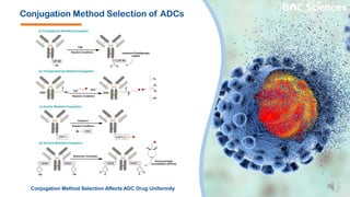 Biomissiles-ADC Drugs-202205.pptx