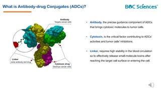 Biomissiles-ADC Drugs-202205.pptx