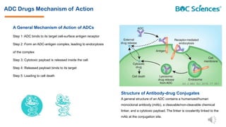 Biomissiles-ADC Drugs-202205.pptx