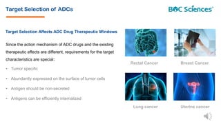 Biomissiles-ADC Drugs-202205.pptx
