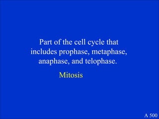 Bio mitosis meiosis jeopardy | PPT