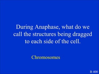 Bio mitosis meiosis jeopardy | PPT