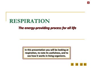 Biology M2 Respiration | PPT | Lung and Respiratory Health | Diseases ...