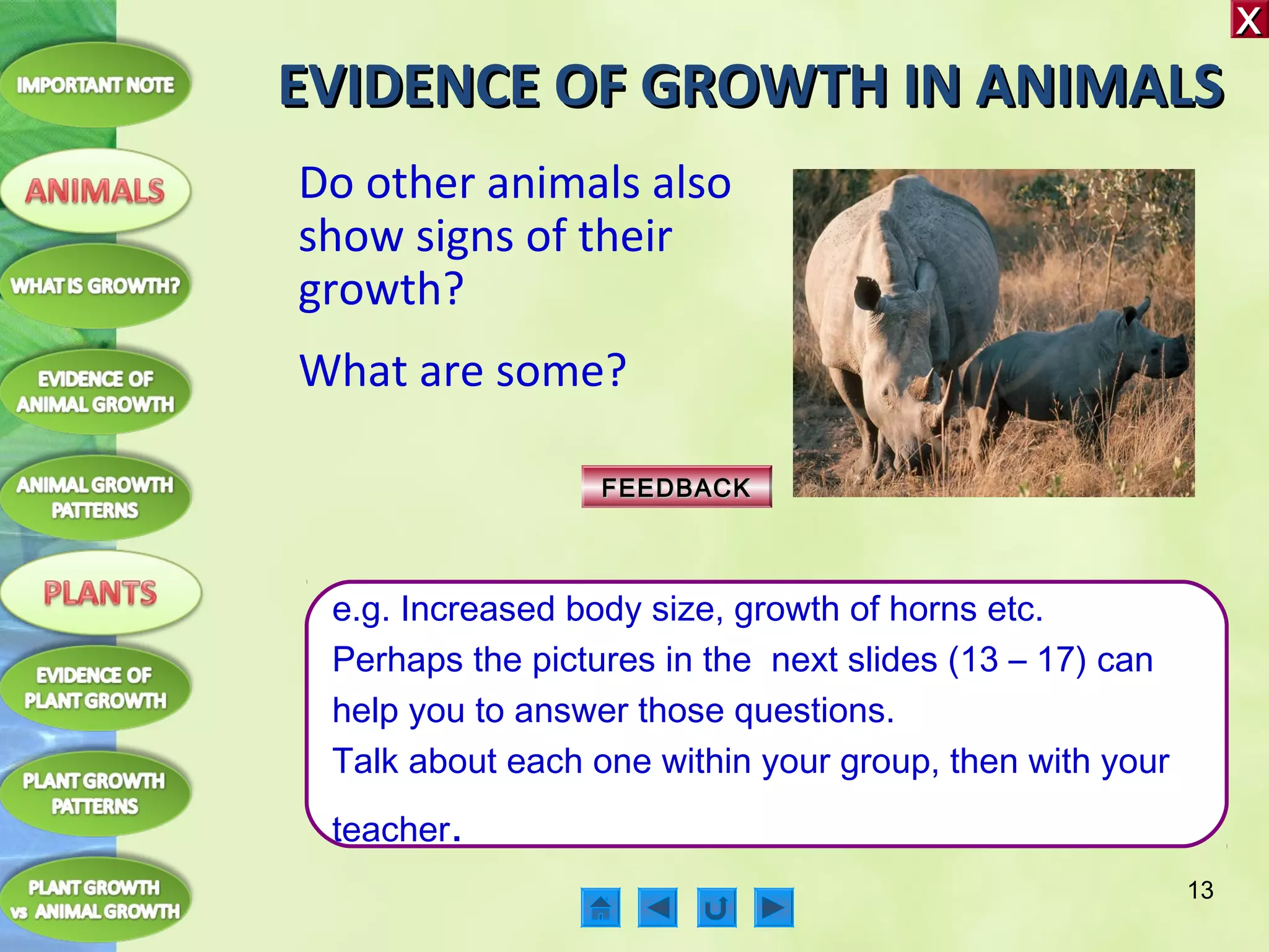 Biology M4 Growth in plants and animals | PPT