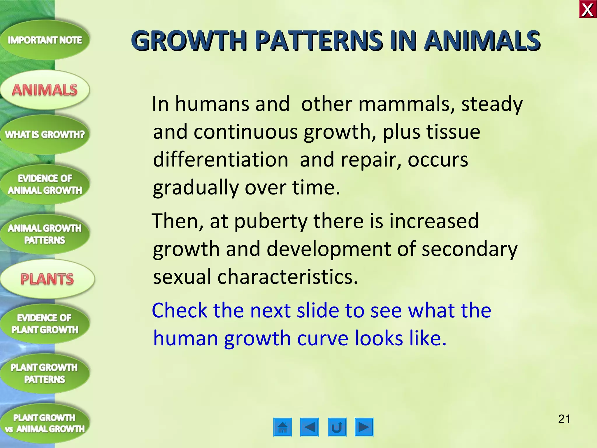 Biology M4 Growth in plants and animals | PPT