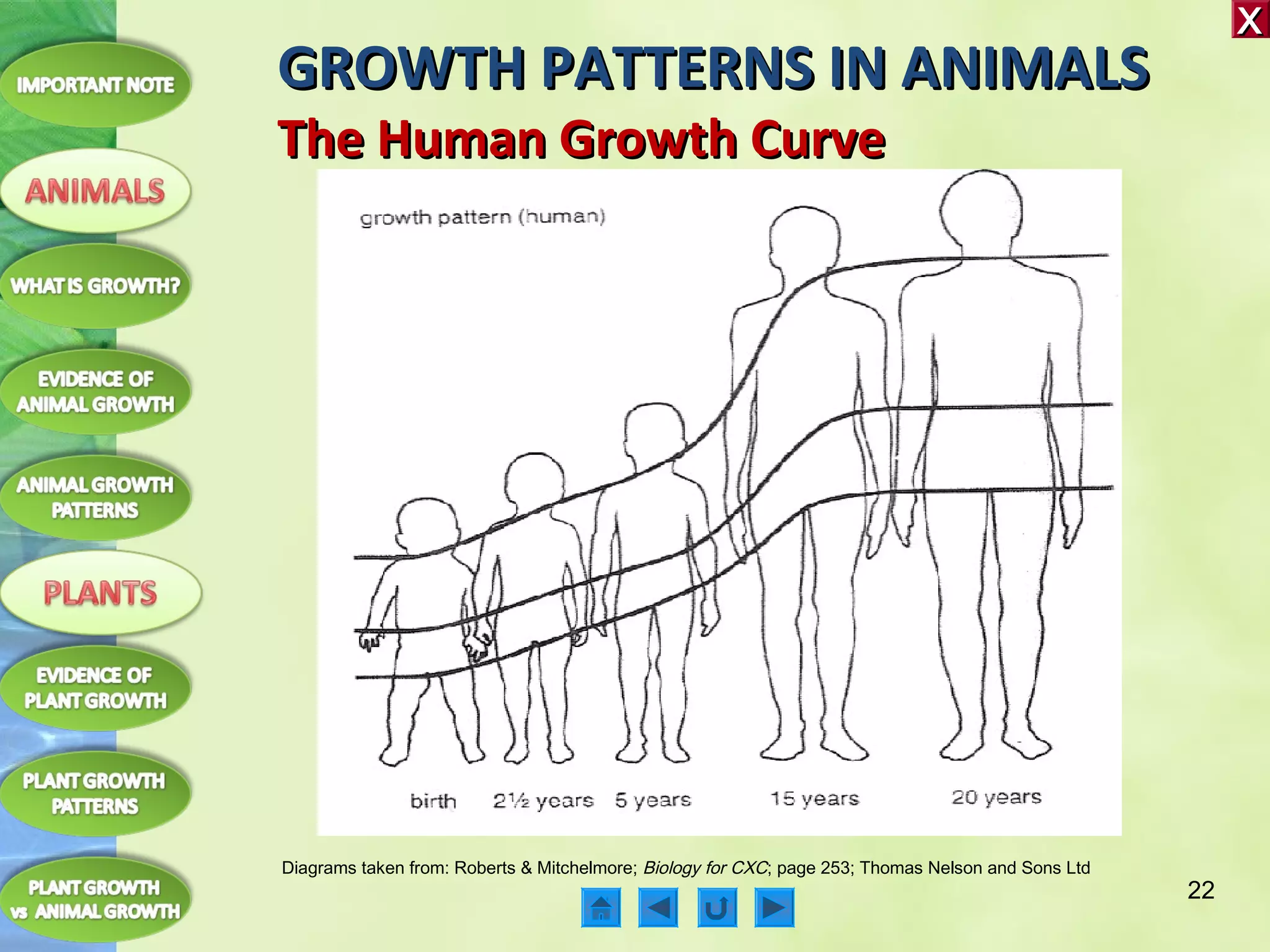 Biology M4 Growth in plants and animals | PPT