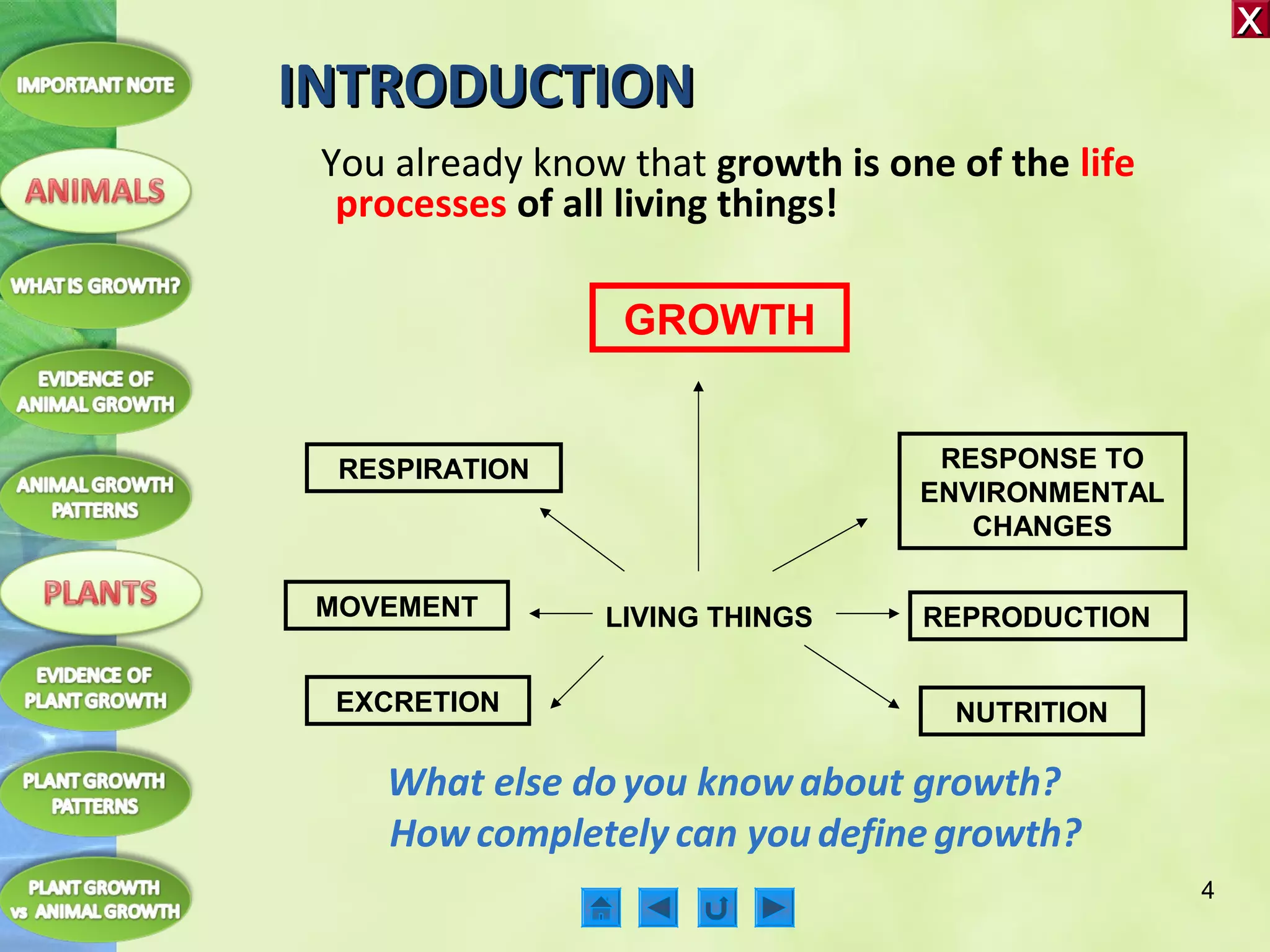 Biology M4 Growth in plants and animals | PPT