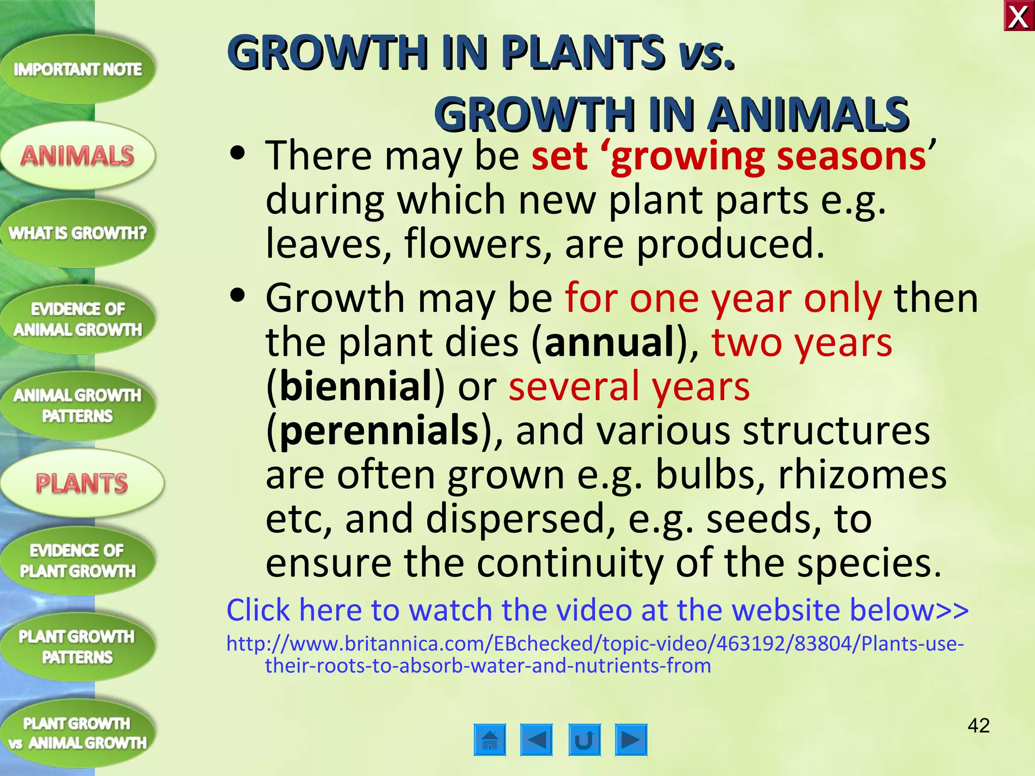 Biology M4 Growth in plants and animals | PPT