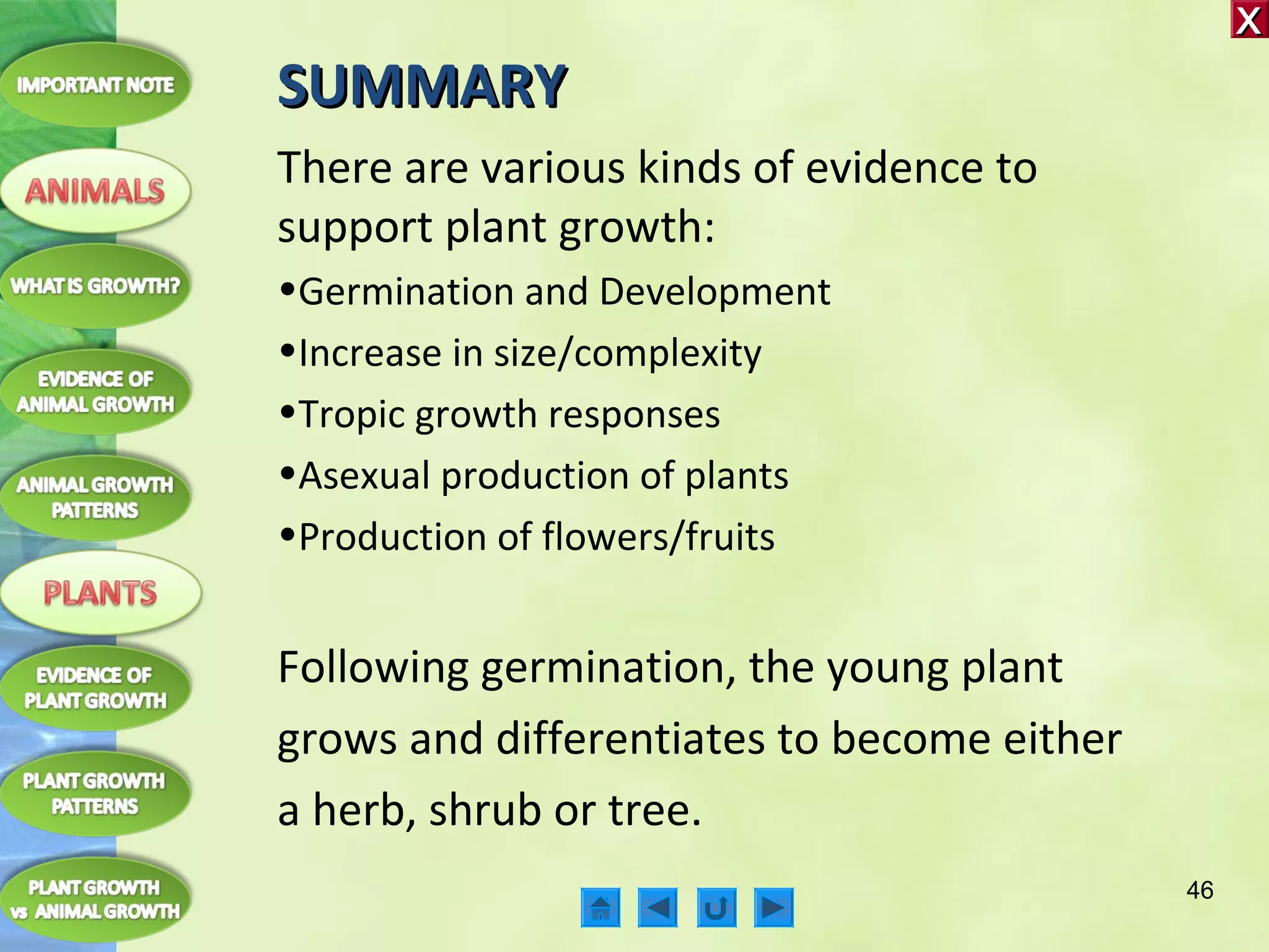 Biology M4 Growth in plants and animals | PPT