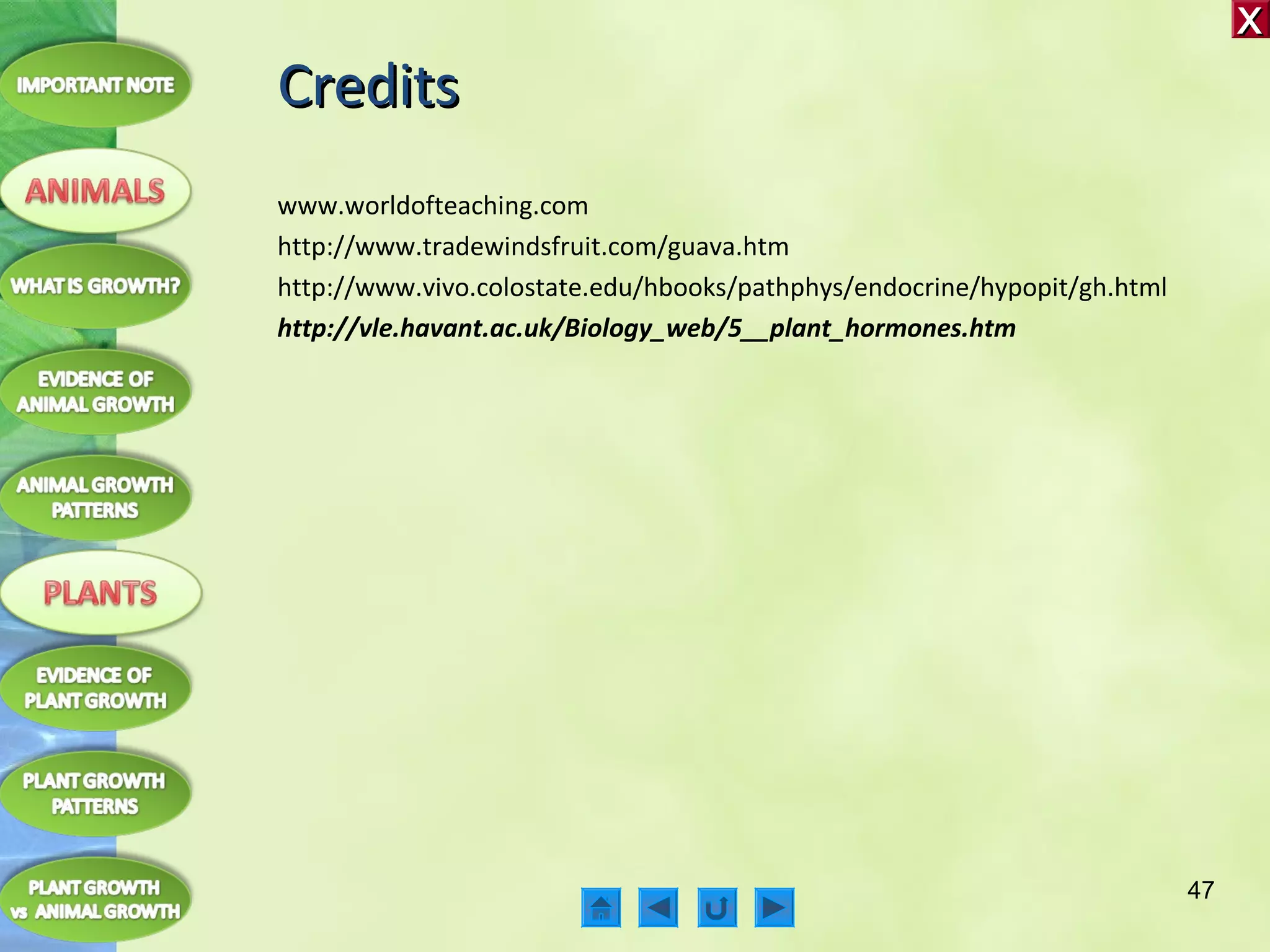 Biology M4 Growth in plants and animals | PPT