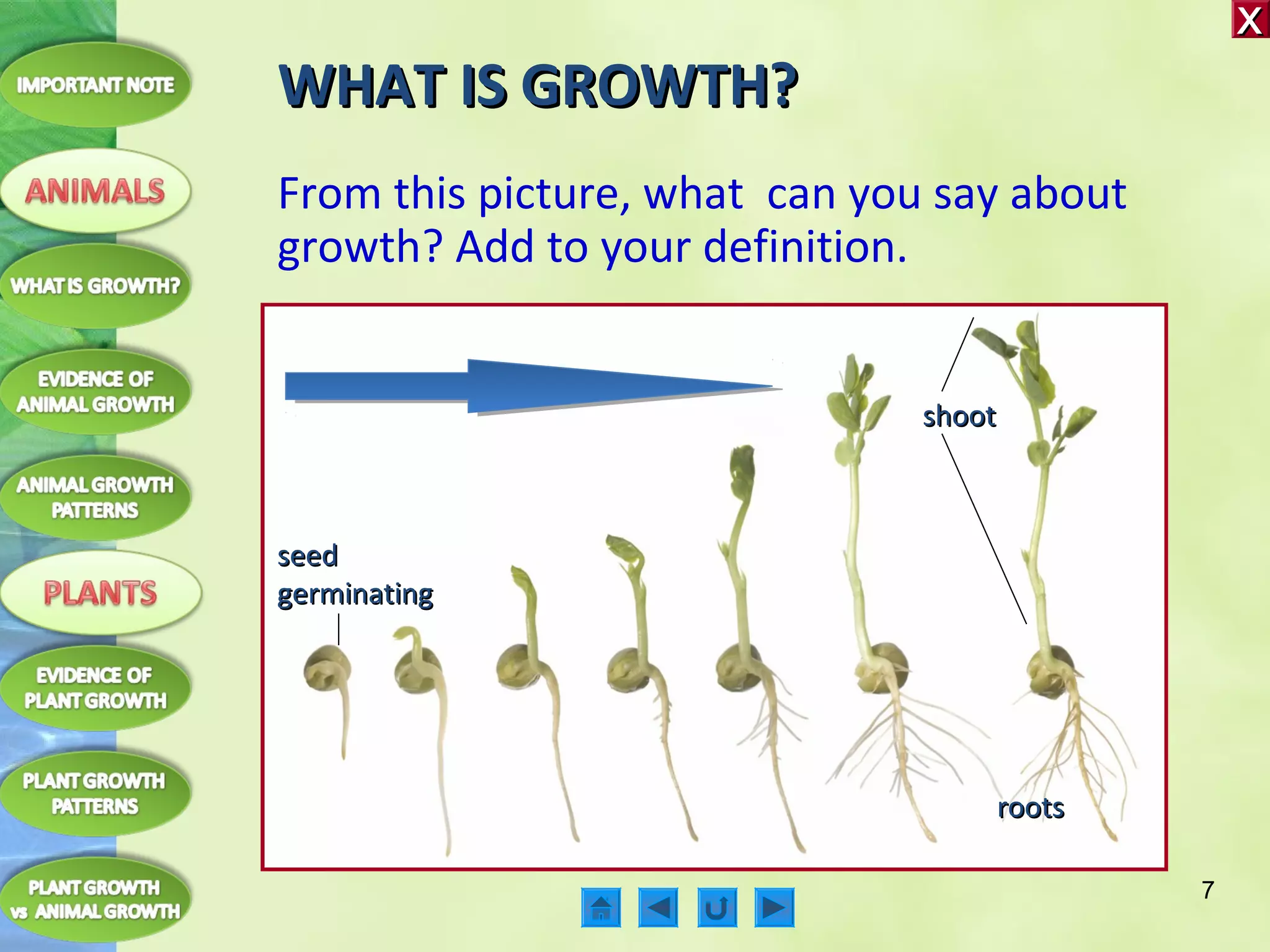 Biology M4 Growth in plants and animals | PPT