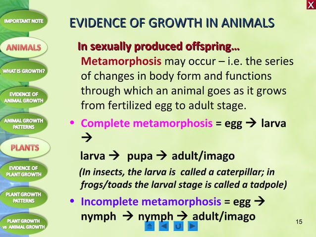 Biology M4 Growth in plants and animals | PPT