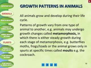 Biology M4 Growth in plants and animals | PPT