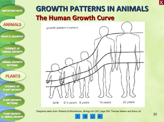 Biology M4 Growth in plants and animals | PPT