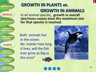 Biology M4 Growth in plants and animals | PPT