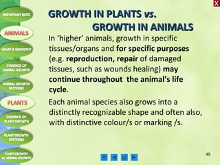 Biology M4 Growth in plants and animals | PPT