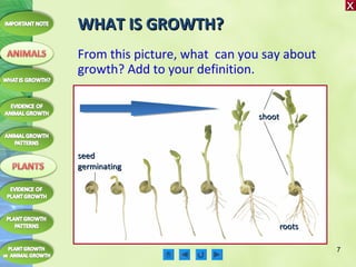 Biology M4 Growth in plants and animals | PPT