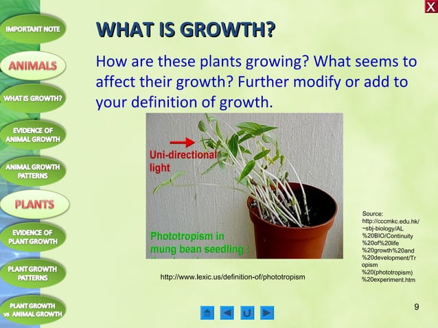 Biology M4 Growth in plants and animals | PPT