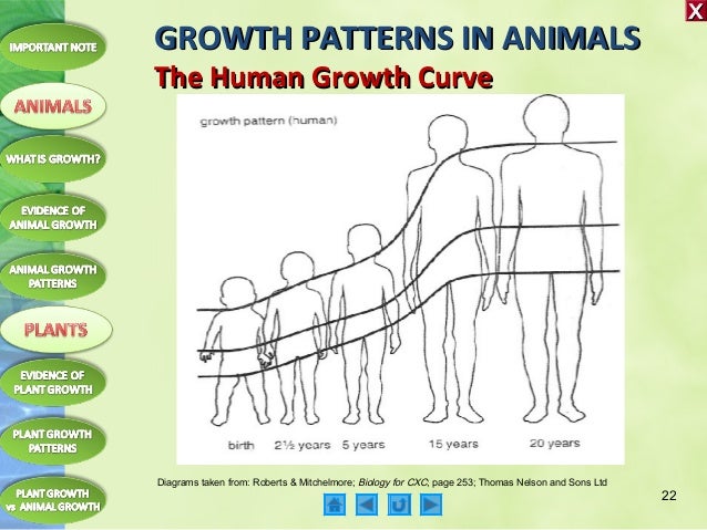 Biology M4 Growth in plants and animals
