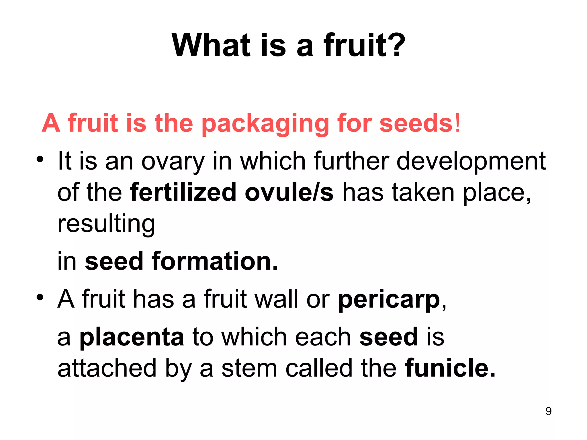 Biology M4 Flowers to fruits and seeds | PPT