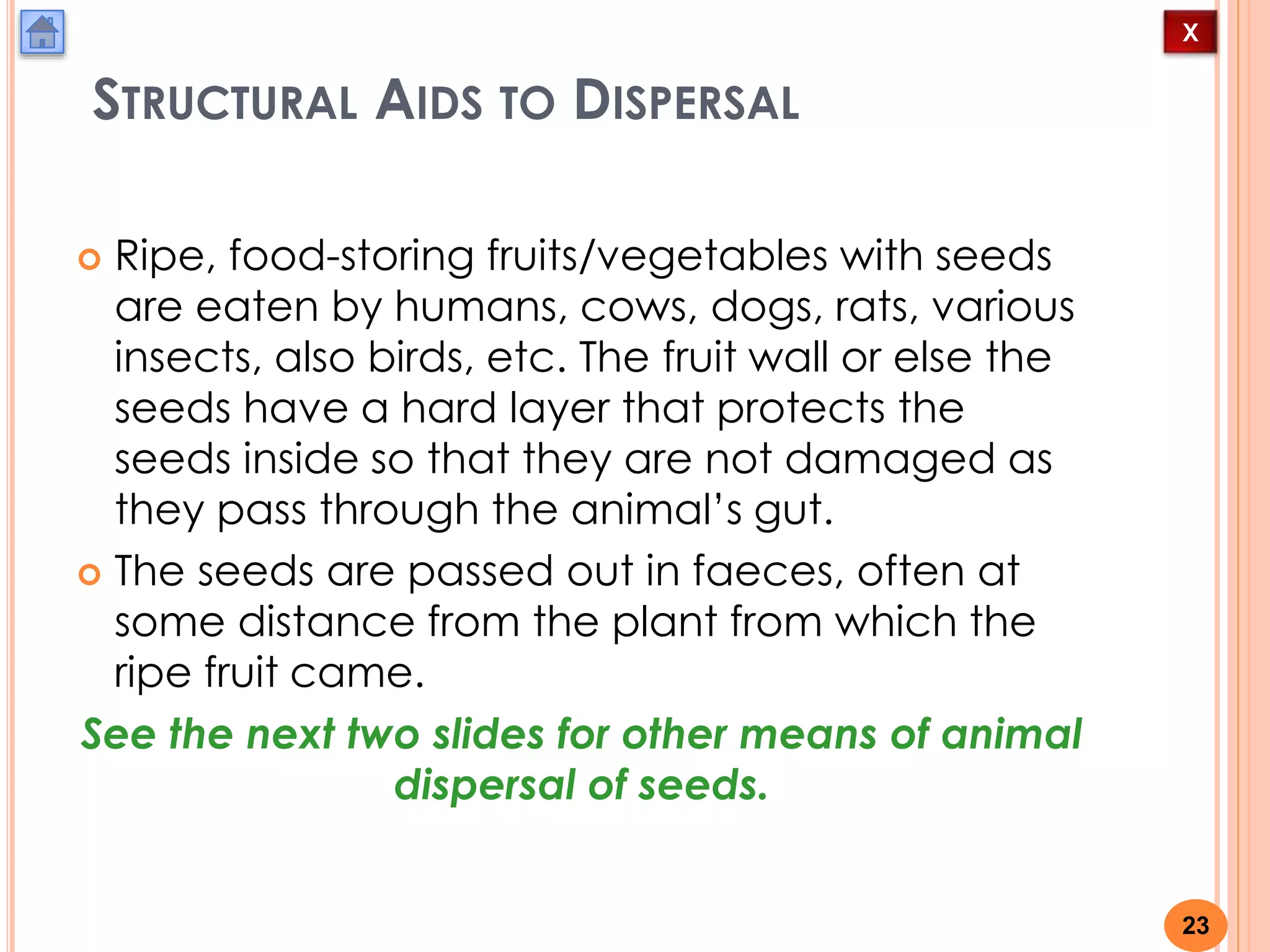 Biology M4 Fruit and Seed Dispersal | PPTX
