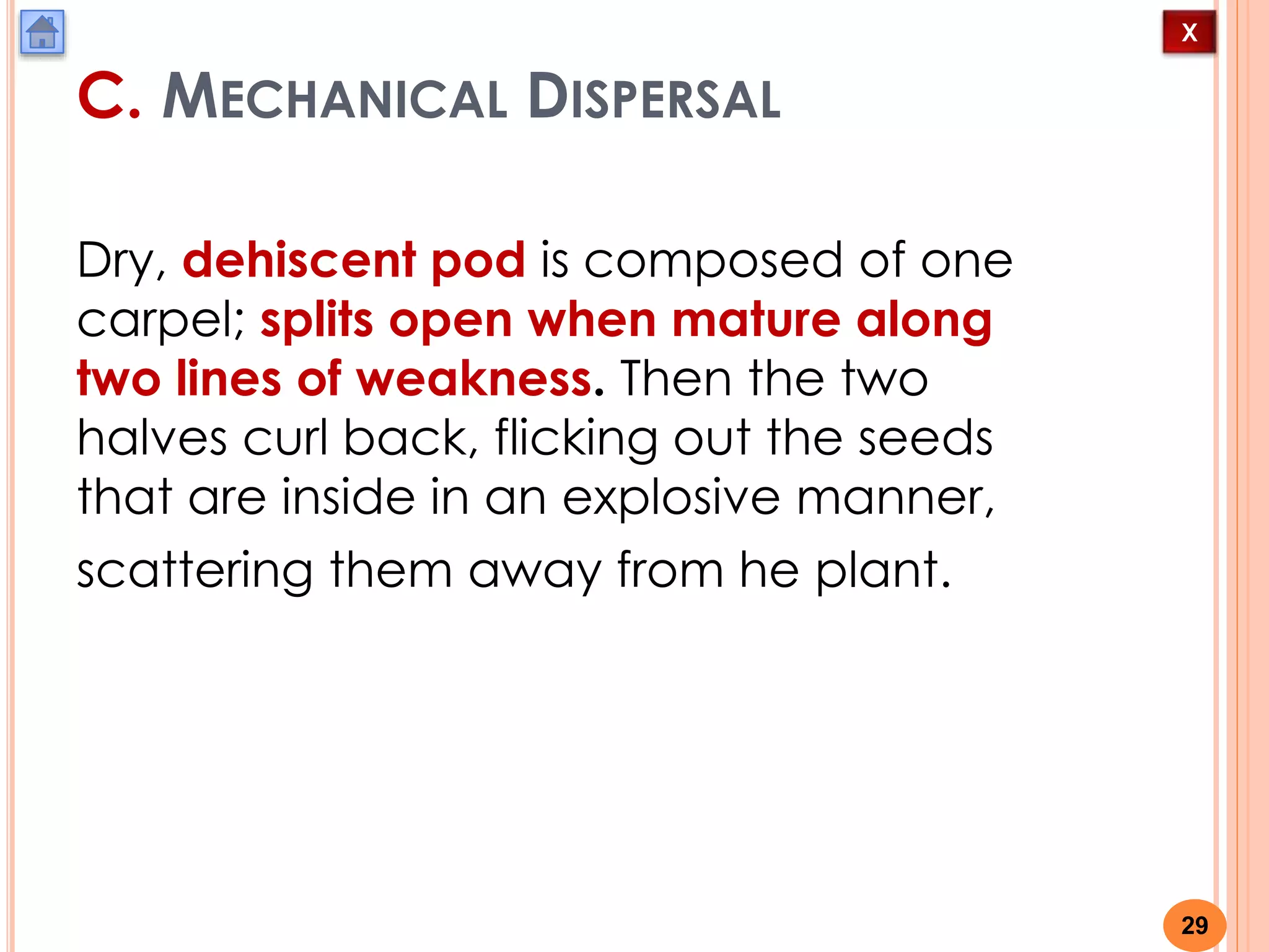 Biology M4 Fruit and Seed Dispersal | PPTX