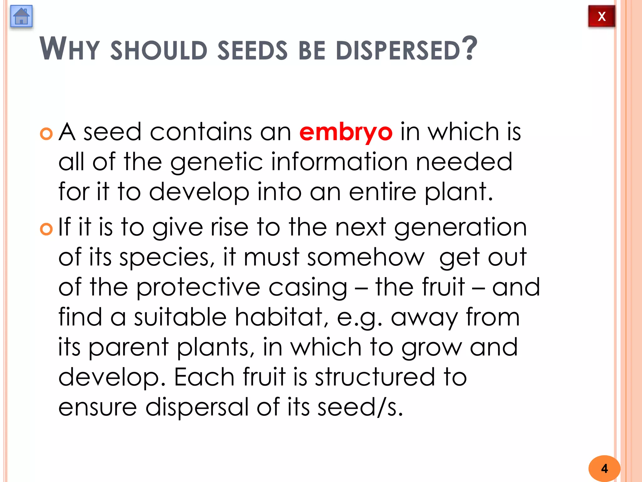 Biology M4 Fruit and Seed Dispersal | PPTX | Gardening | Home & Garden