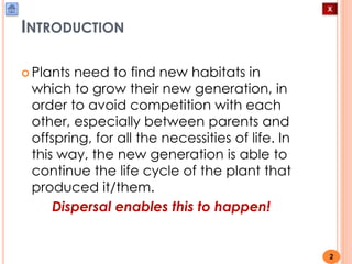 Biology M4 Fruit and Seed Dispersal | PPTX