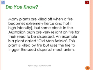 Biology M4 Fruit and Seed Dispersal | PPTX