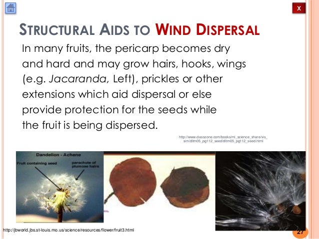 Biology M4 Fruit and Seed Dispersal