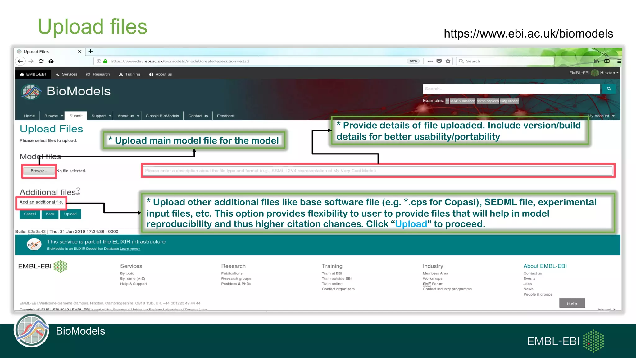 BioModels model demo | PPT