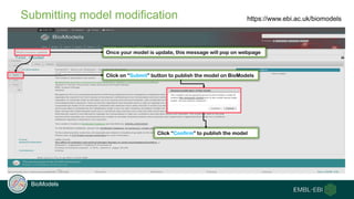 BioModels model demo | PPT