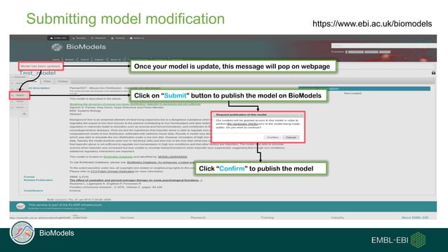 BioModels model demo | PPT