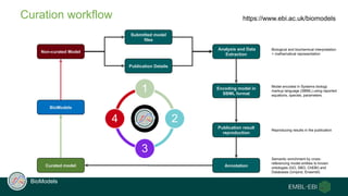 BioModels model demo | PPT