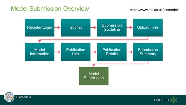 BioModels model demo | PPT