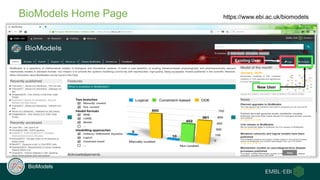 BioModels model demo | PPT