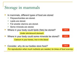 Biology M1 Food Storage | PPT