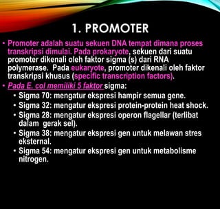 Biomol 6. transkripsi 1, from dna to rna | PPT