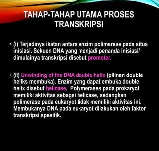 Biomol 6. transkripsi 1, from dna to rna | PDF