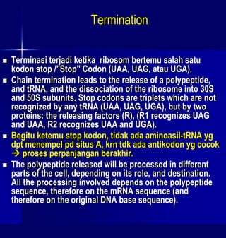 Biomol 7. translasi | PPT