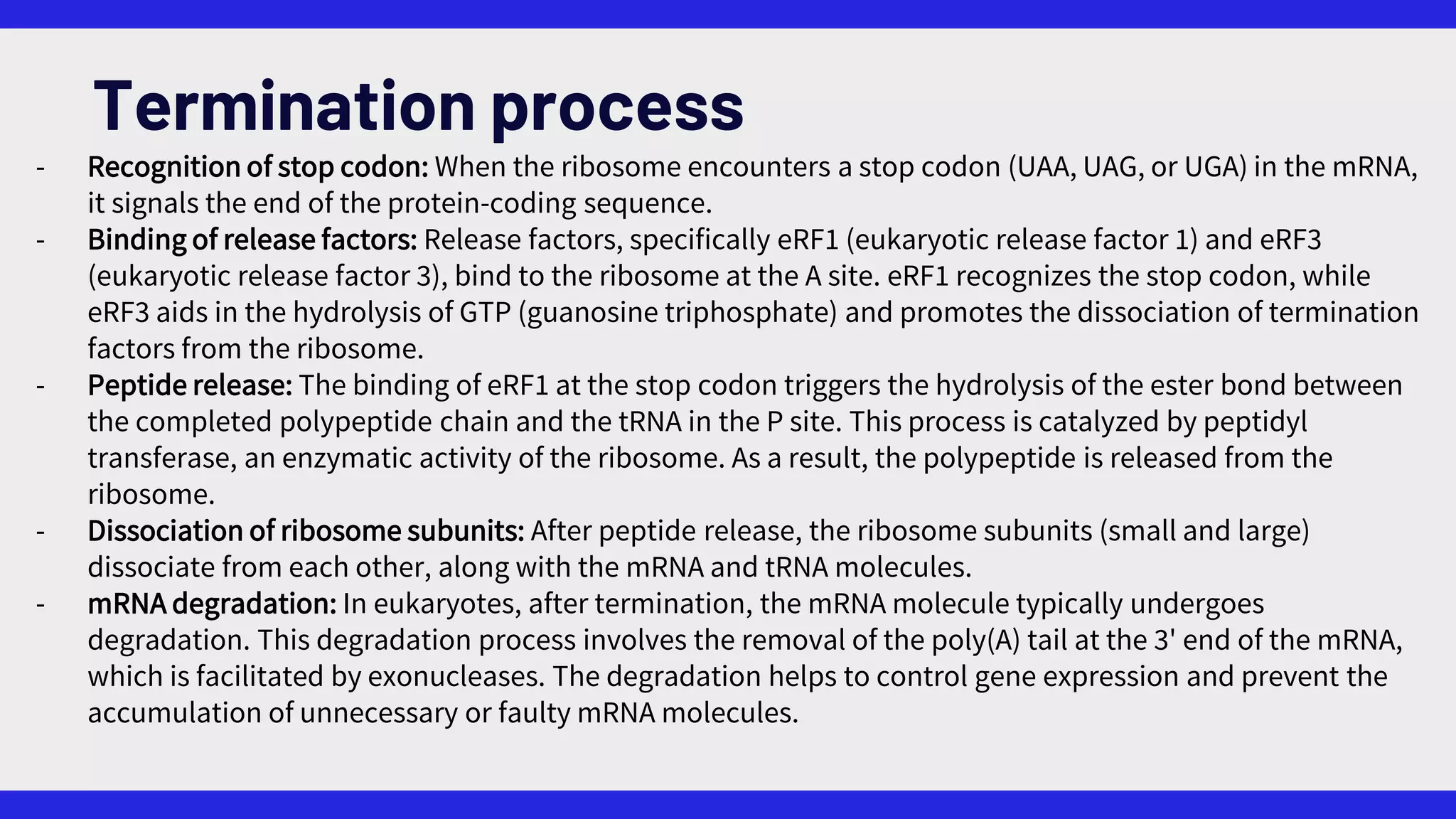 Biomol-Translation Eukaryote.pptx