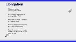 Biomol-Translation Eukaryote.pptx